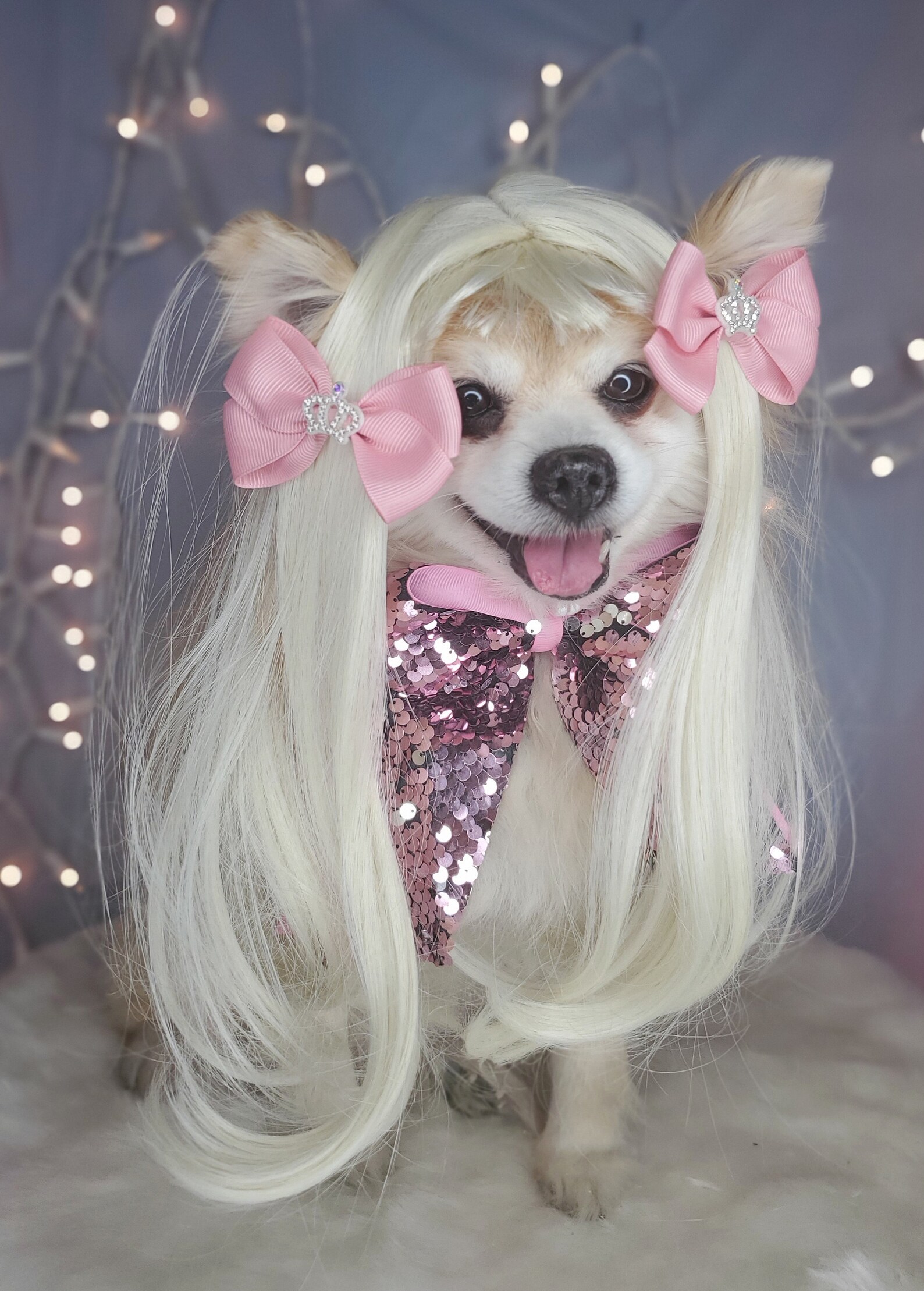Blond Pet Wig With Pink Bows – Dog or Cat Costume - Etsy