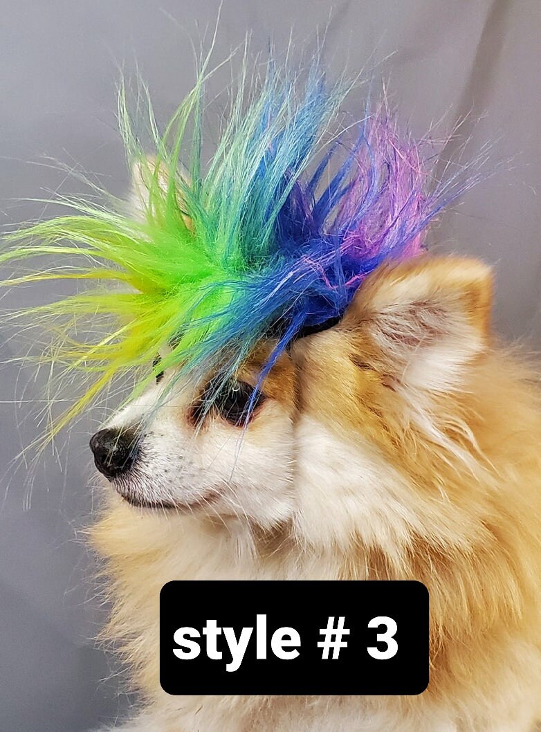 Mohawk for Your Pet / Halloween Dog Costume /cat Mohawk / | Etsy
