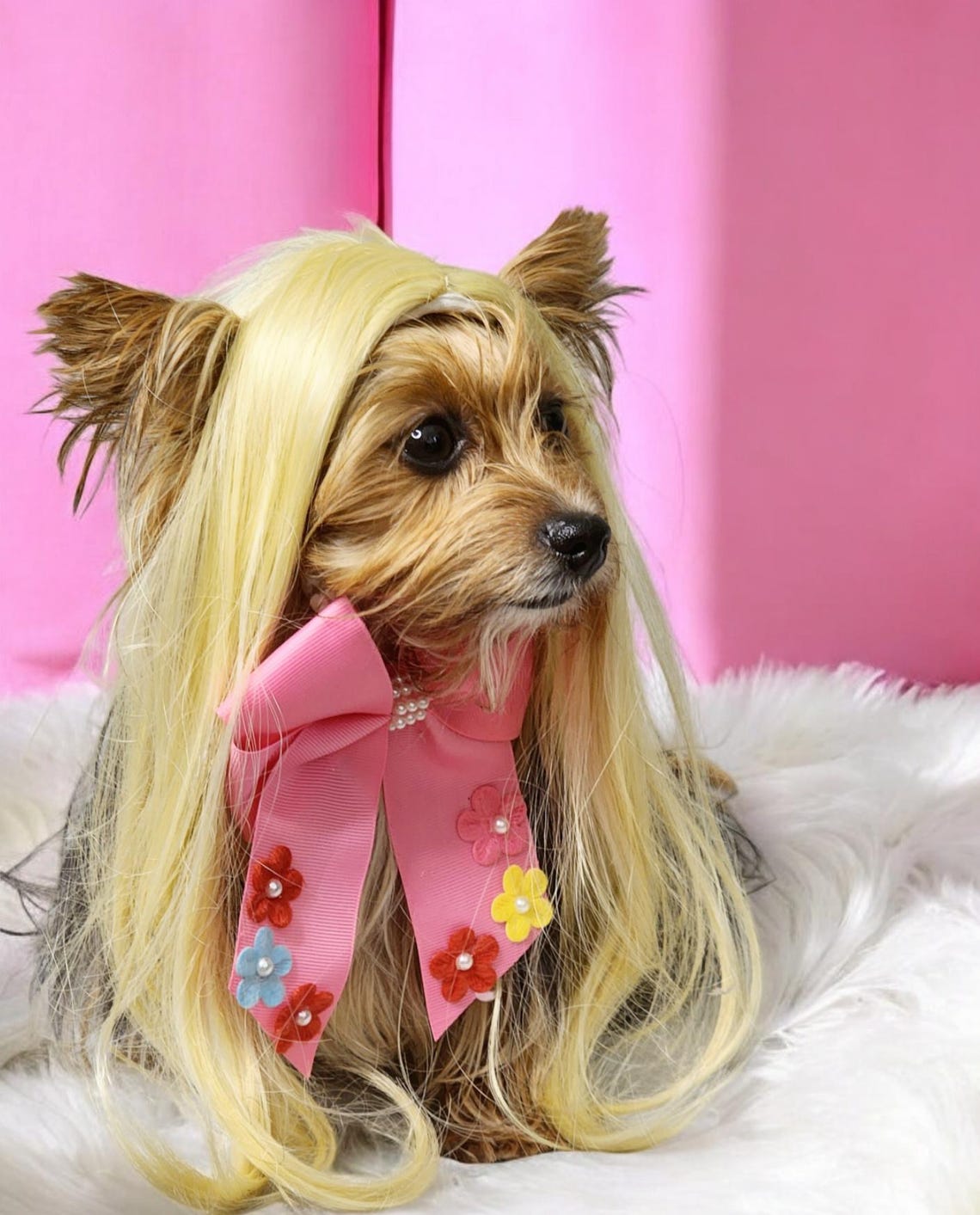 Cute Pet Wig, Halloween Costume for Dog or Cat - Etsy