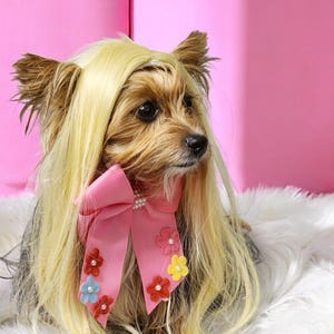 Cute Pet Wig, Halloween Costume for Dog or Cat - Etsy