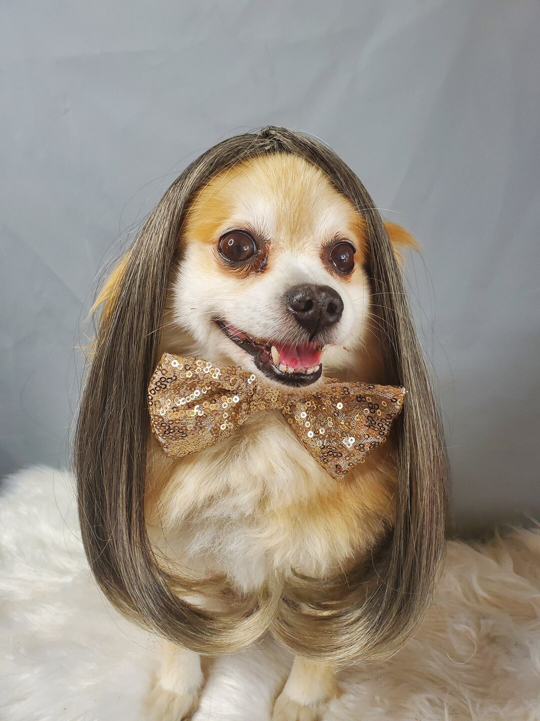 Handmade Pet Wig – Elegant Dog & Cat Costume - Etsy