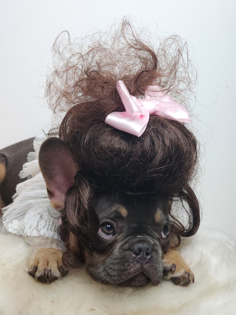 Marie Antoinette Pet Wig, Brown Costume Wig for Dogs or Cats - Etsy