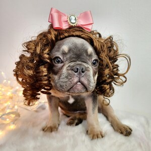 Marie Antoinette Pet Wig, Brown Curly Dog Wig, Halloween Costume - Etsy