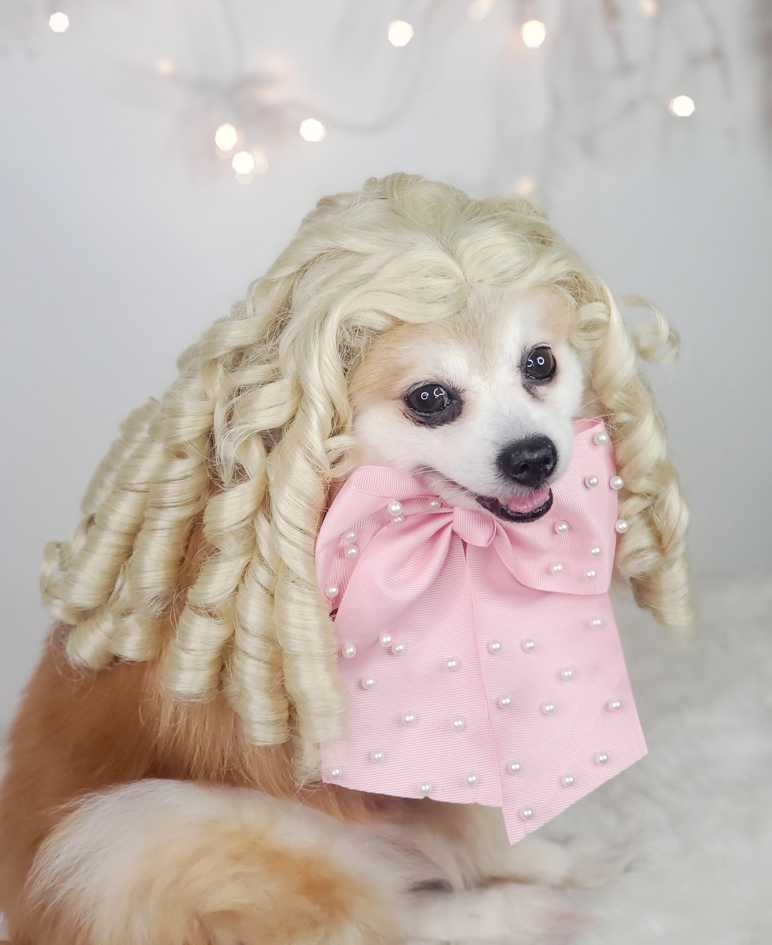 Blond Pet Wig: Adjustable Fit, Elegant Puppy Costume - Etsy