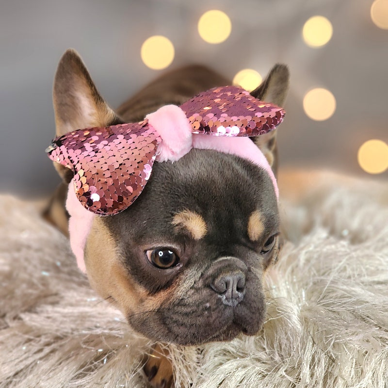 Dog Headband - Etsy