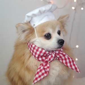 Chef Dog Hat / Chef Hat for Cat /chef Hat for Pets/ - Etsy