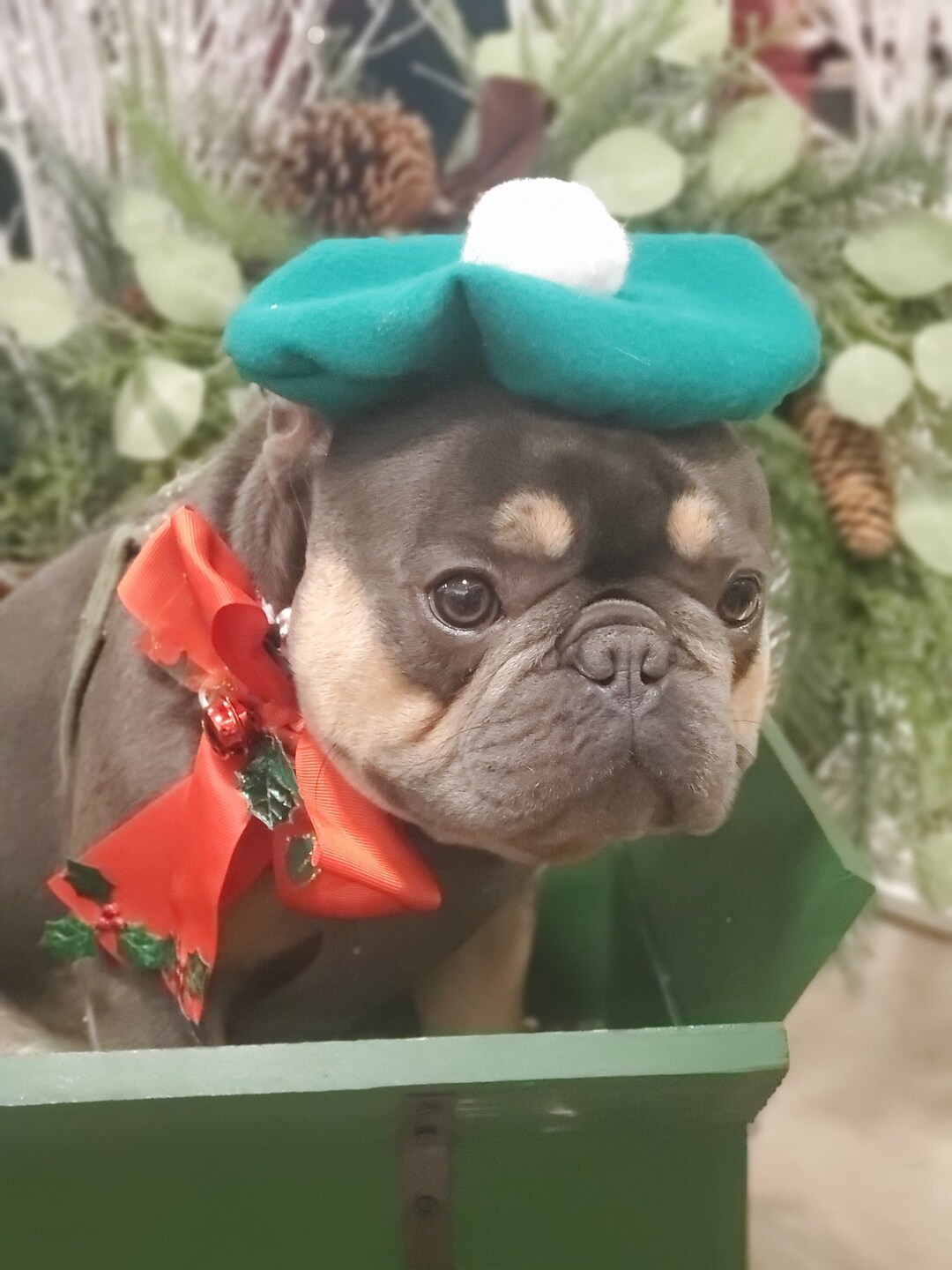 Christmas Beret Hat Green Color for Dog or Cat /hat for Dogs/beret for ...