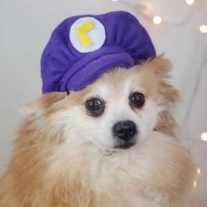 Supper Wario, Waluigi, Fire Mario , Mario ,luigi / Dog Costume ...