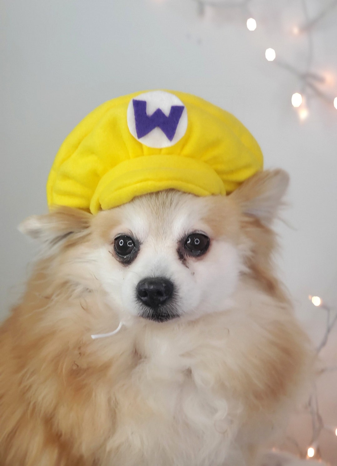 Supper Wario, Waluigi, Fire Mario , Mario ,luigi / Dog Costume ...