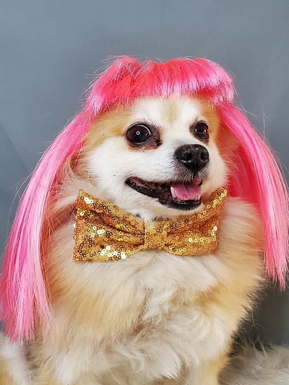 What Colour Is Pink To Dogs