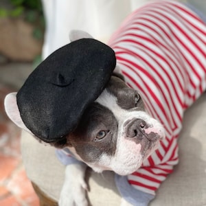 Beret Hat Black Color for Dog or Cat /hat for Dogs/beret for Dogs / - Etsy
