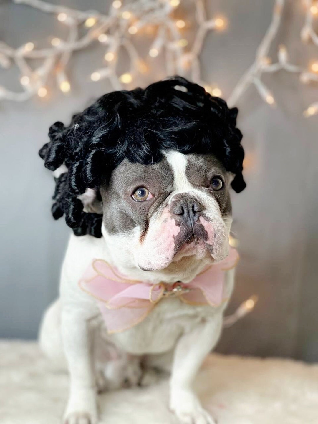Black Dog Wig for Large Dogs, Adjustable Pet Costume - Etsy