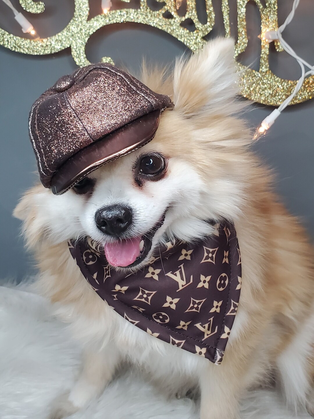 Brown Pet Cap - Custom Dog or Cat Hat - Etsy