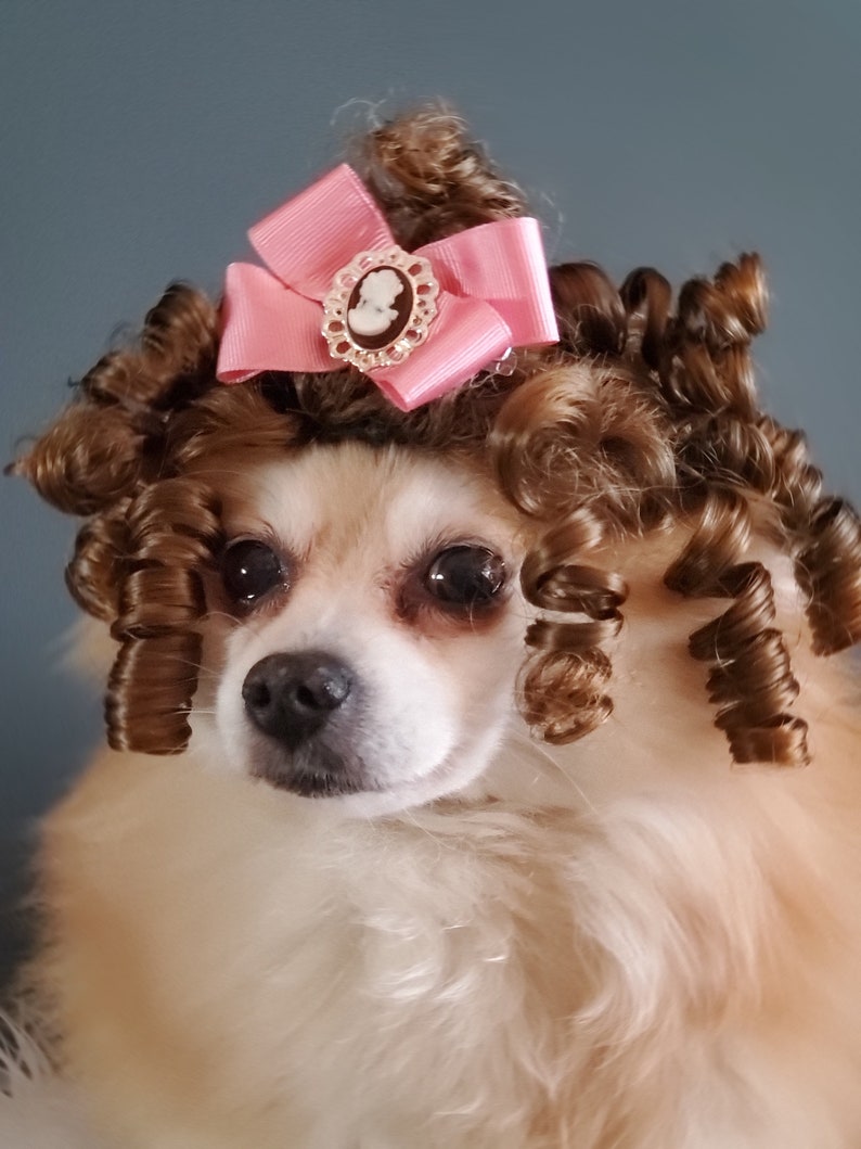 Brown Curly Pet Wig With Pink Bow – Halloween Costume - Etsy