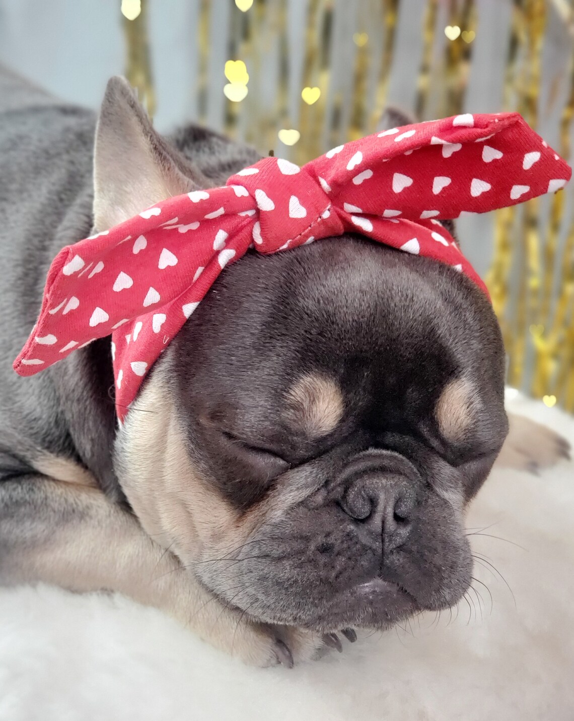 Headband for Dog or Cat /headband for Dogs/pet Gift/ - Etsy