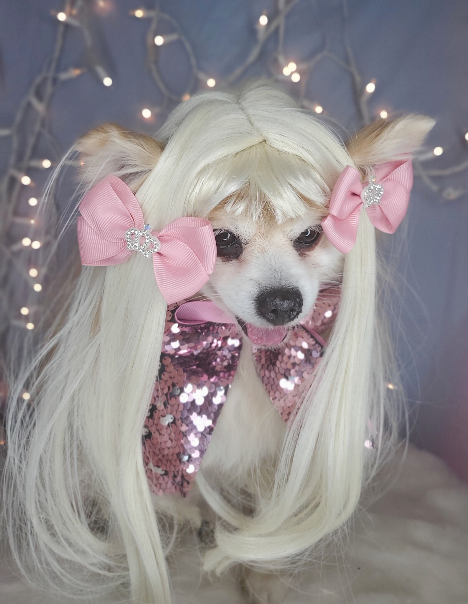 Blond Pet Wig With Pink Bows – Dog or Cat Costume - Etsy