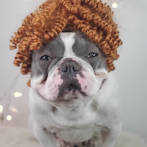 Large Brown Dog Wig, Halloween Costume, Pet Accessory - Etsy
