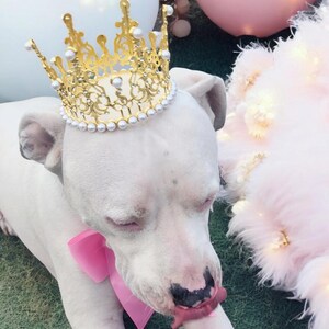 Gold Dog Crown With Bow Tie, Elegant Puppy Accessory - Etsy