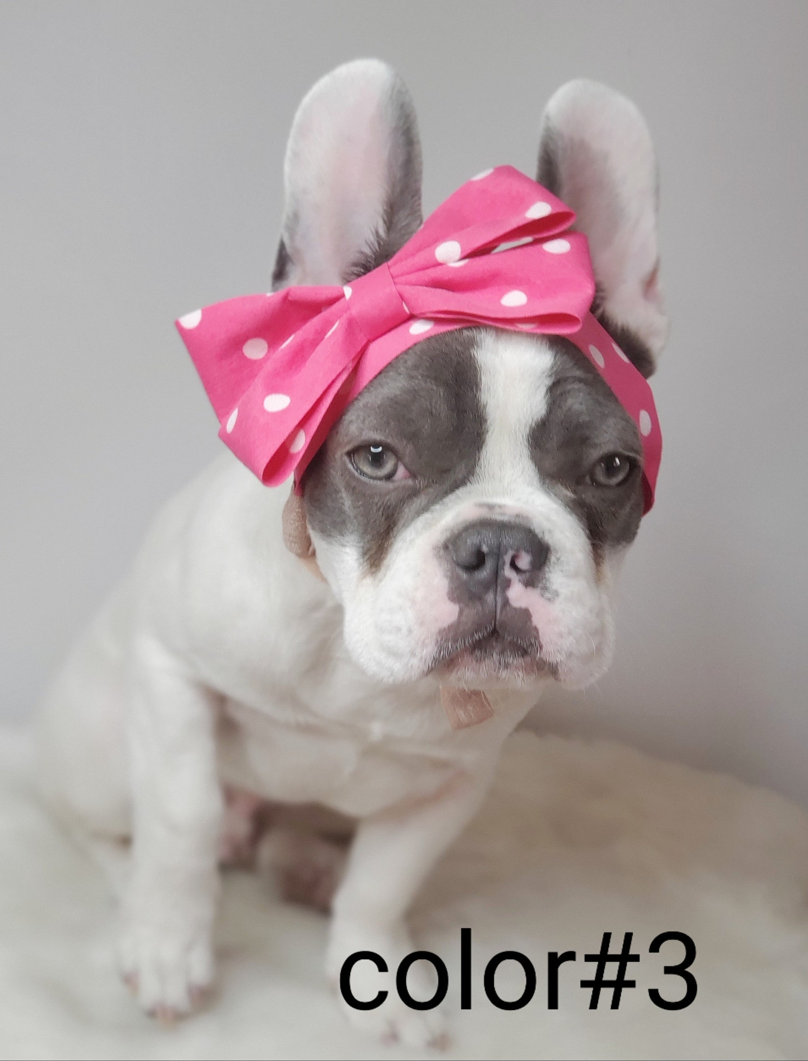 Headband for Dog or Cat /headband for Dogs/pet Gift/ | Etsy