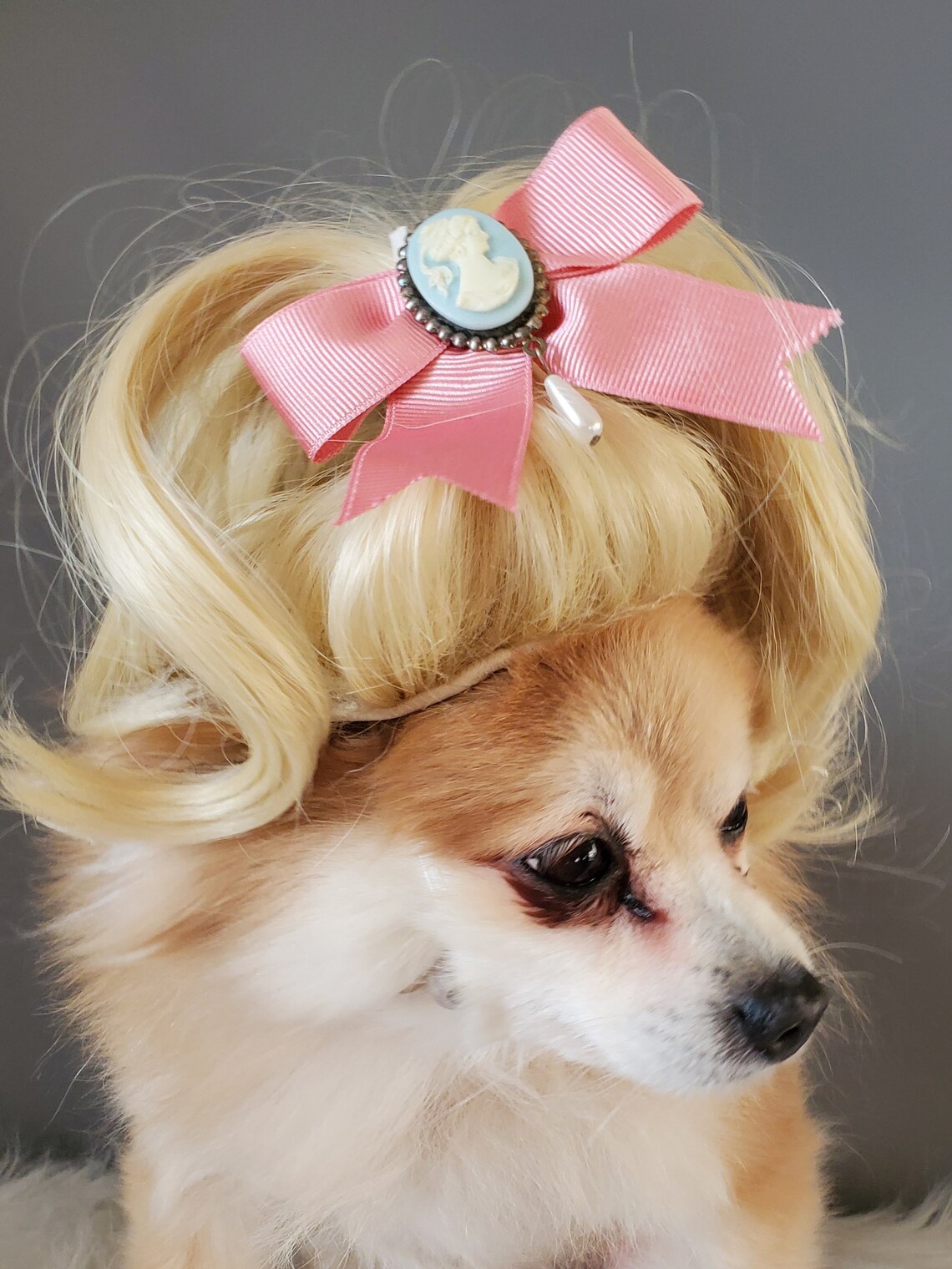 Pet Blond Wig With Pony Tail for Dog or Cat - Etsy