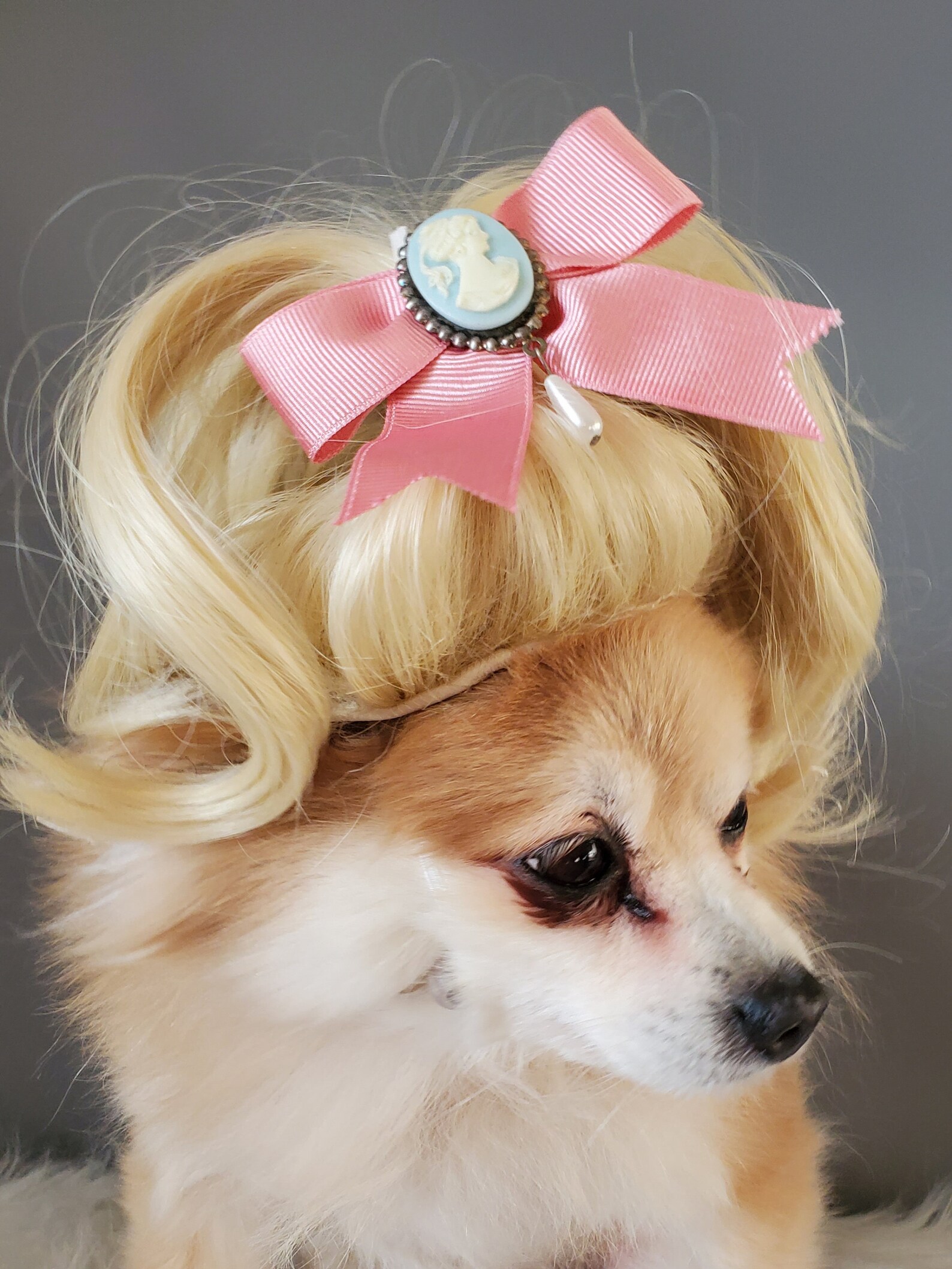 Pet Blond Wig With Pony Tail for Dog or Cat - Etsy