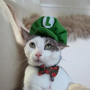 Mario Luigi Wario Waluigi Hat for Cats/supper Mario Hat Red Color for ...