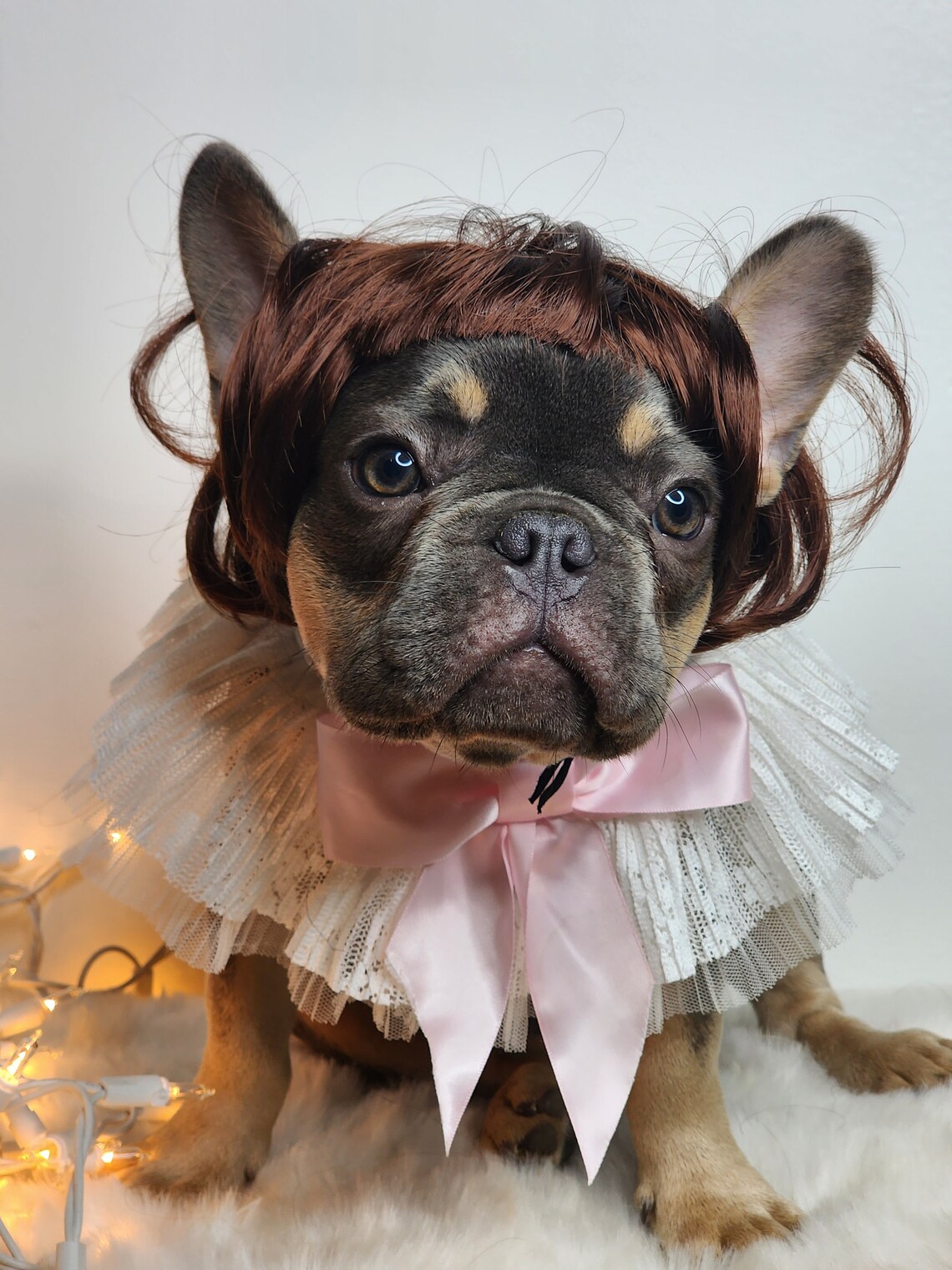 Brown Pet Wig, Adjustable Costume for Dog or Cat - Etsy