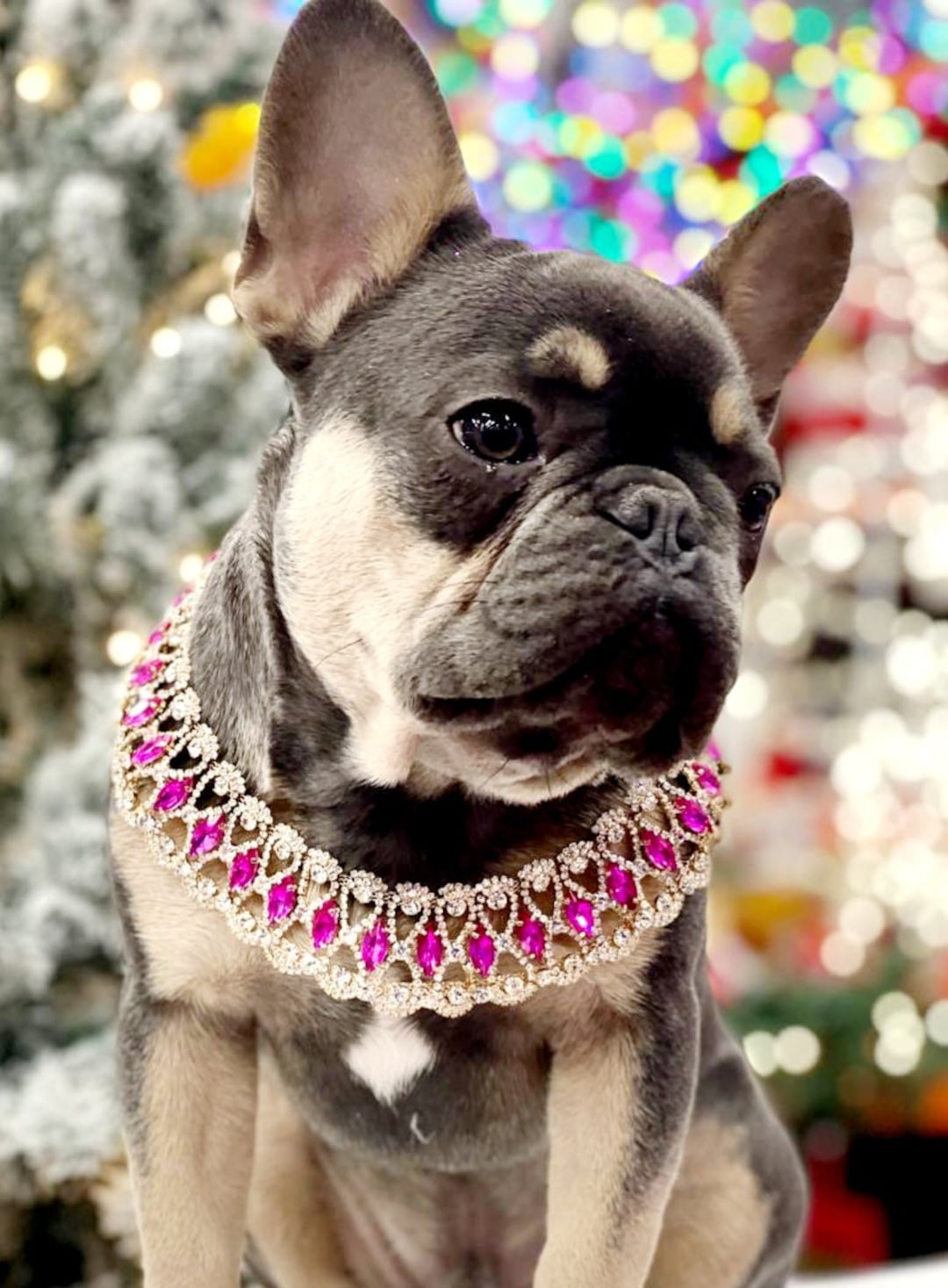 Supper Cute Dog Neck Chain With Rainstons/ Jewelry for Pet /jewelry ...