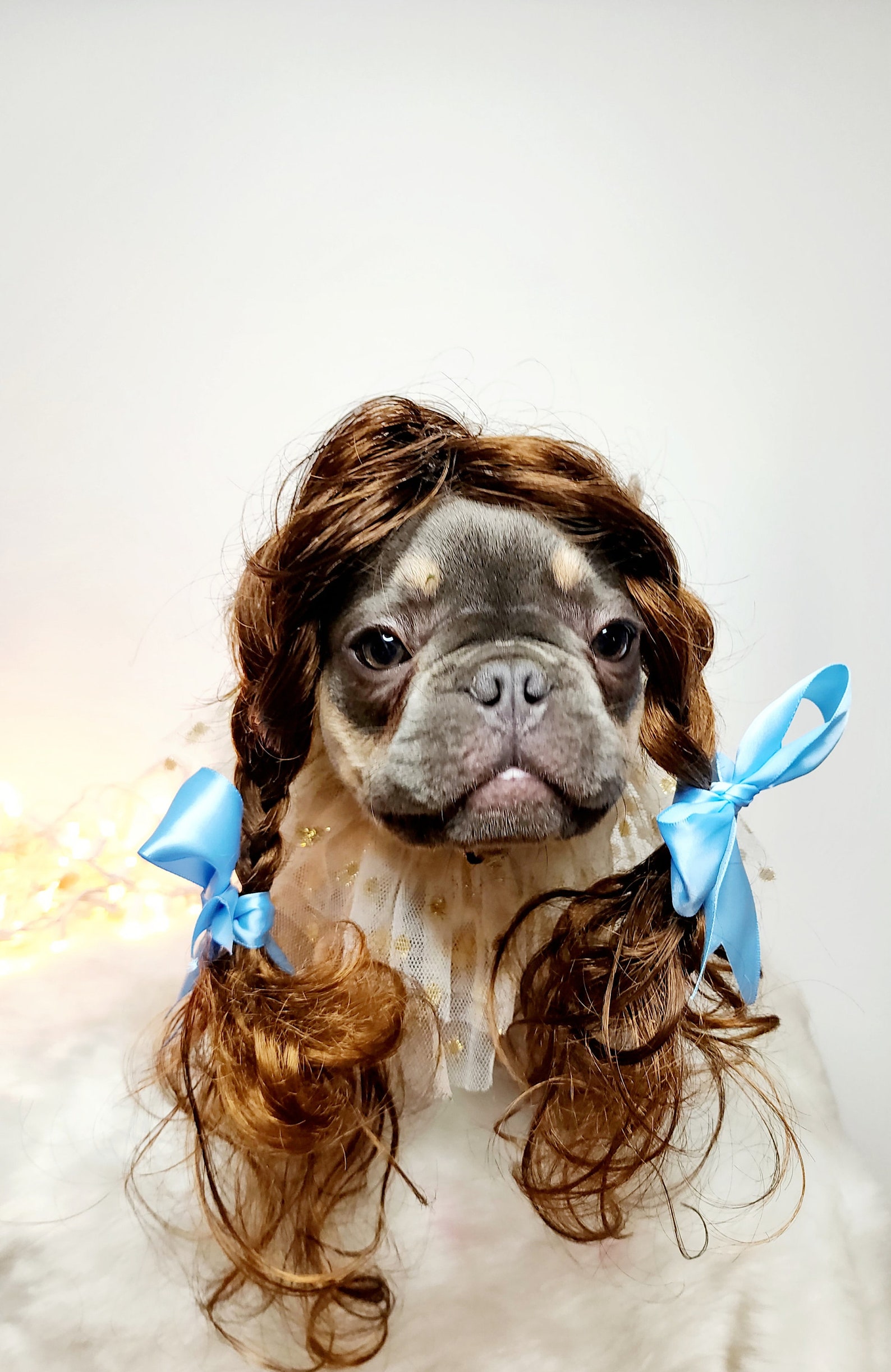 Wizard of Oz Dorothy Dog Wig, Brown Costume Wig - Etsy
