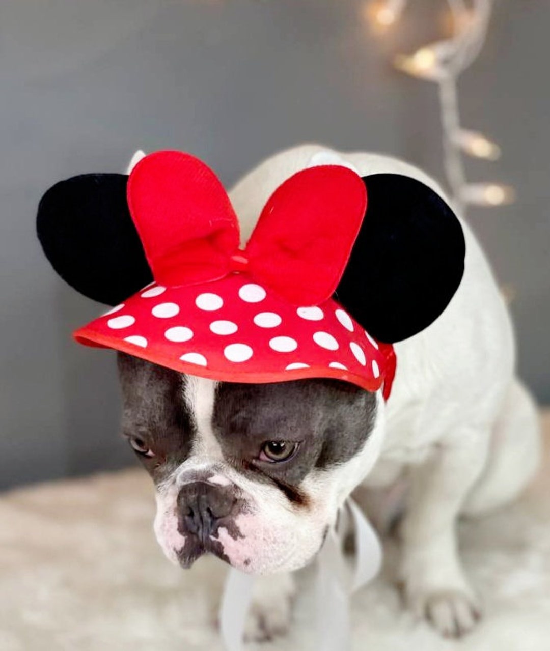 Mini Mouse Hat for Dog /dog Costume /halloween Dog Costume/ - Etsy