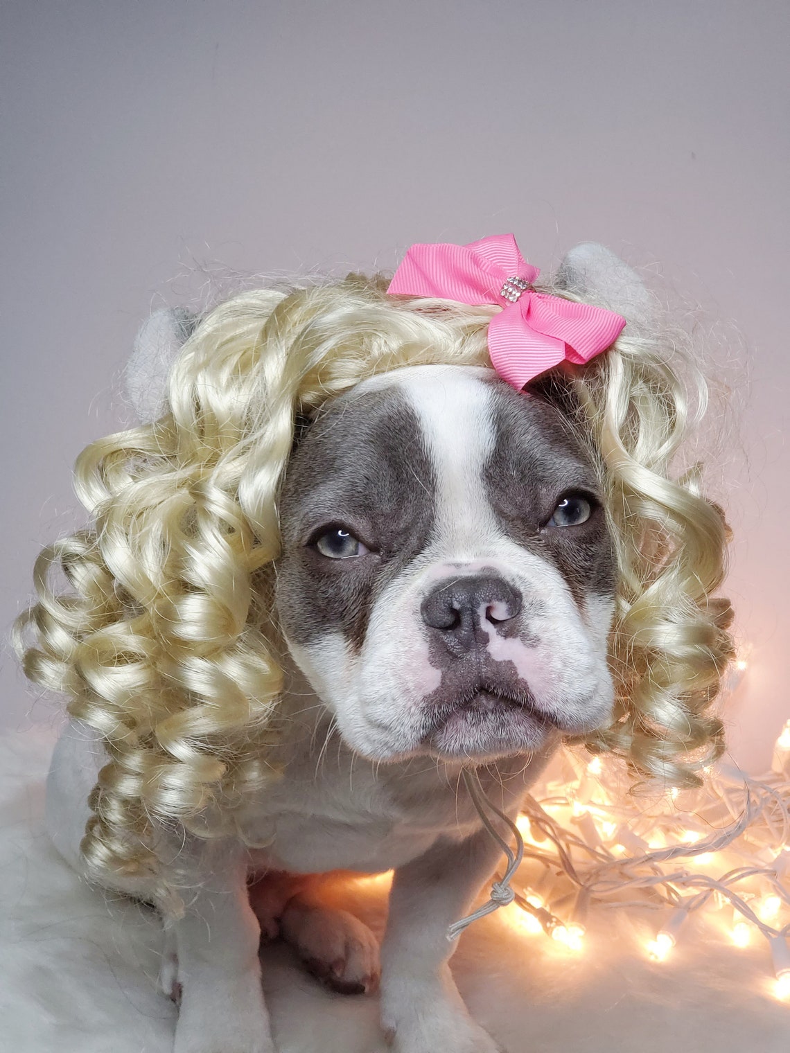 Cute Pet Wig /wig for Dog or Cat / Halloween Dog Wig / Costume - Etsy