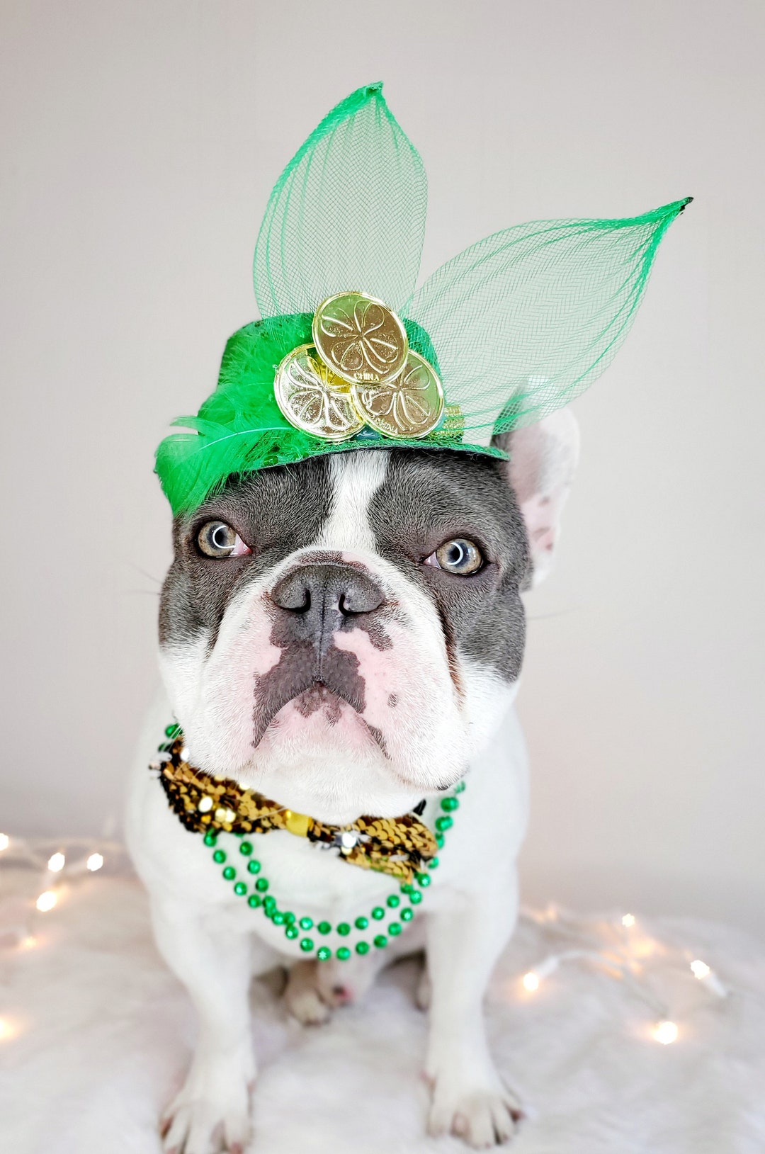 St. Patrick's Day Pet Hat With Bow - Lucky Dog/cat Costume - Etsy