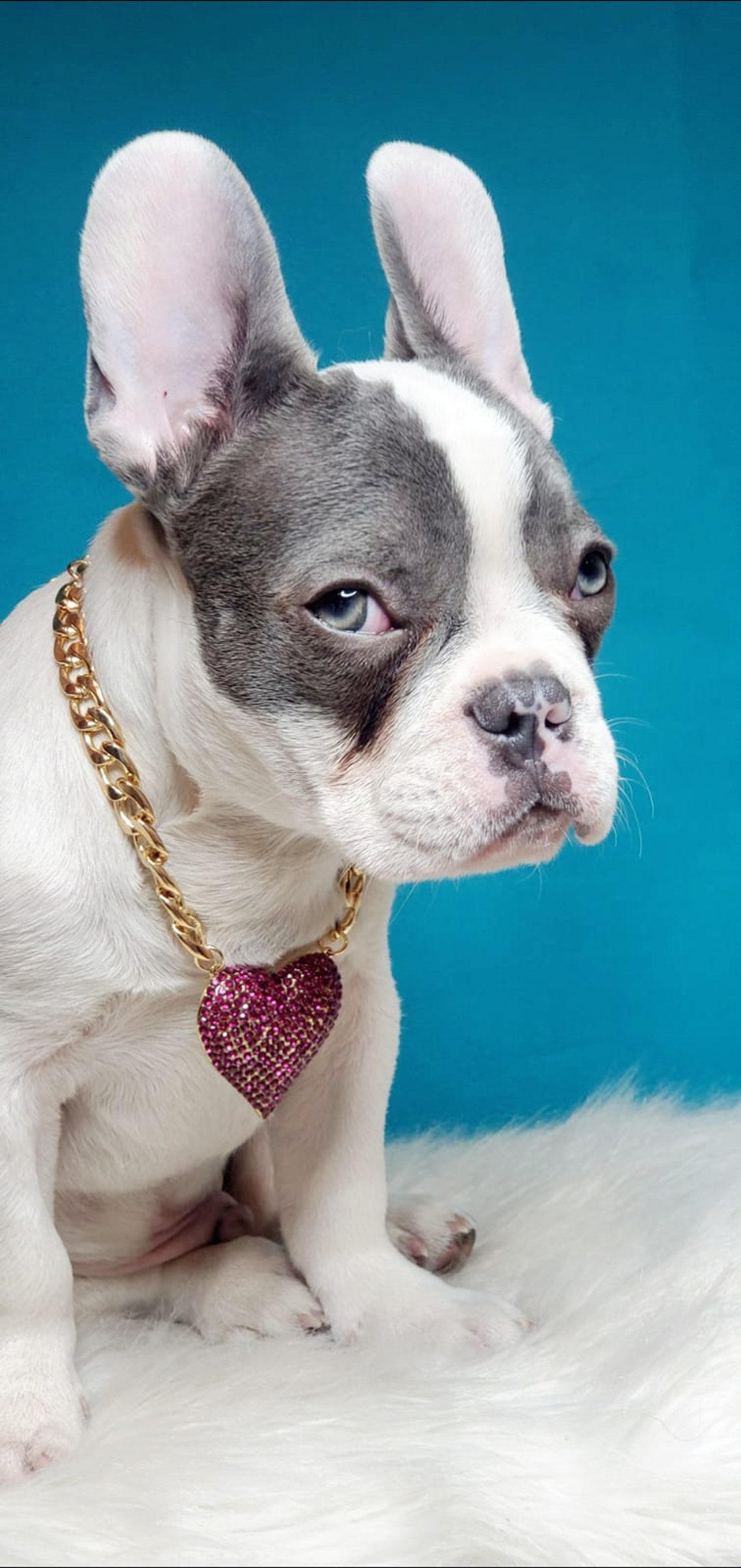 Gold Color Dog Necklace, Heart Pendent Pet Jewelry - Etsy