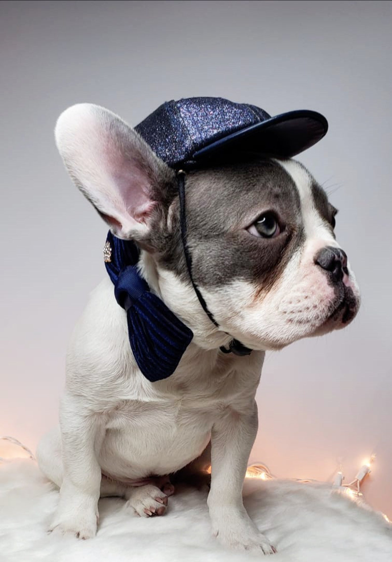 Cap for You Pet/ Cute Hat Navy Color for Dog or Cat Small - Etsy