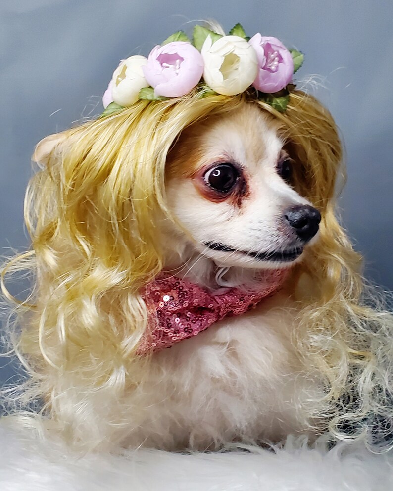 Blond Pet Wig With Flowers, Dog Cat Costume - Etsy