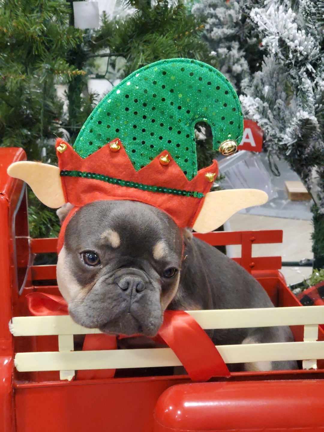 Dog Elf Hat / Elf Hat Costume,/christmas Elf Outfit /dogs and Cat Elf ...