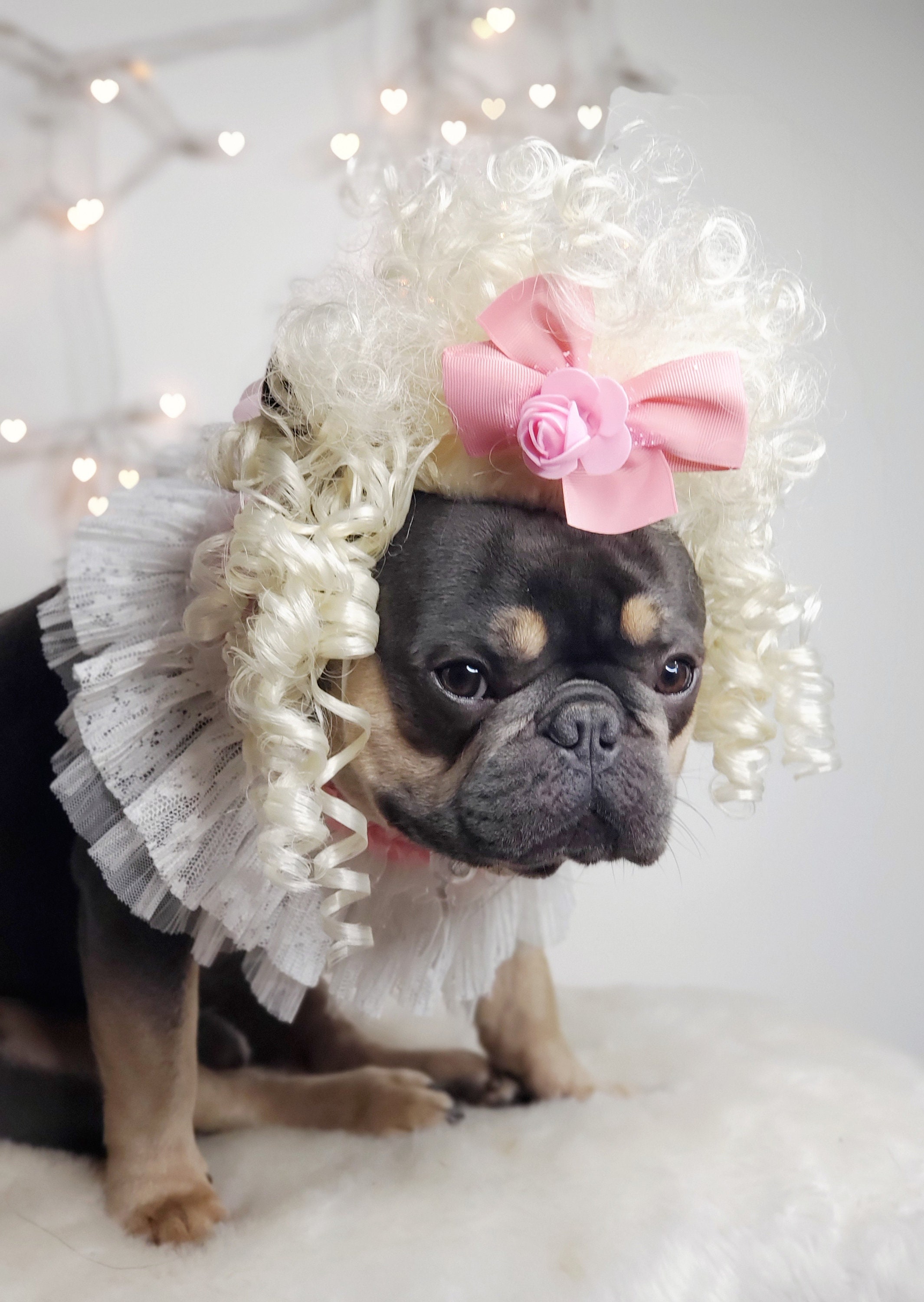 Marie Antoinette Pet Wig, Blond Costume Wig for Dogs - Etsy