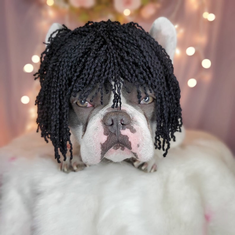 Black Pet Wig | Adjustable Costume Wig for Dogs & Cats - Etsy