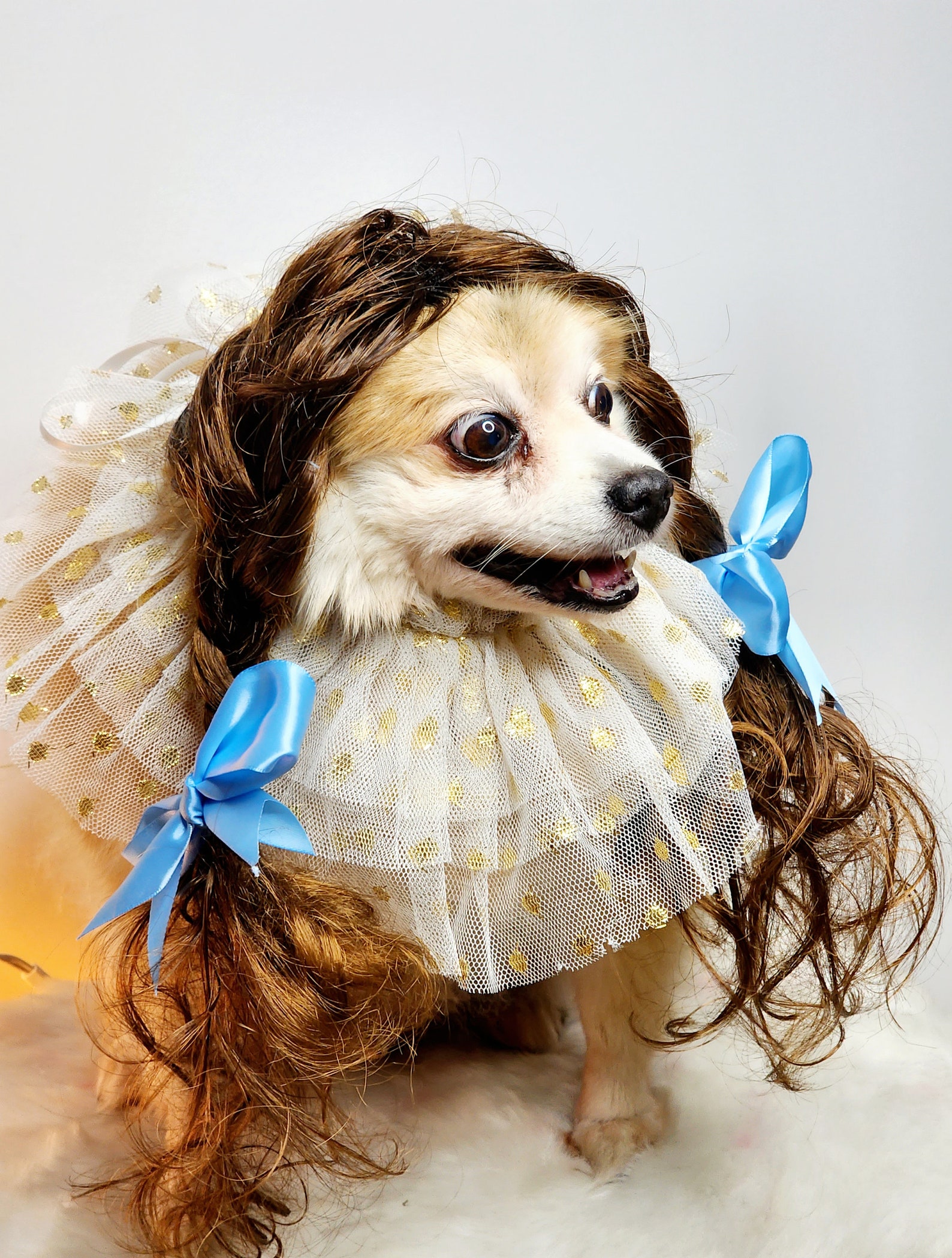 Dorothy Dog Wig, Wizard of Oz Pet Costume, Brown Color - Etsy