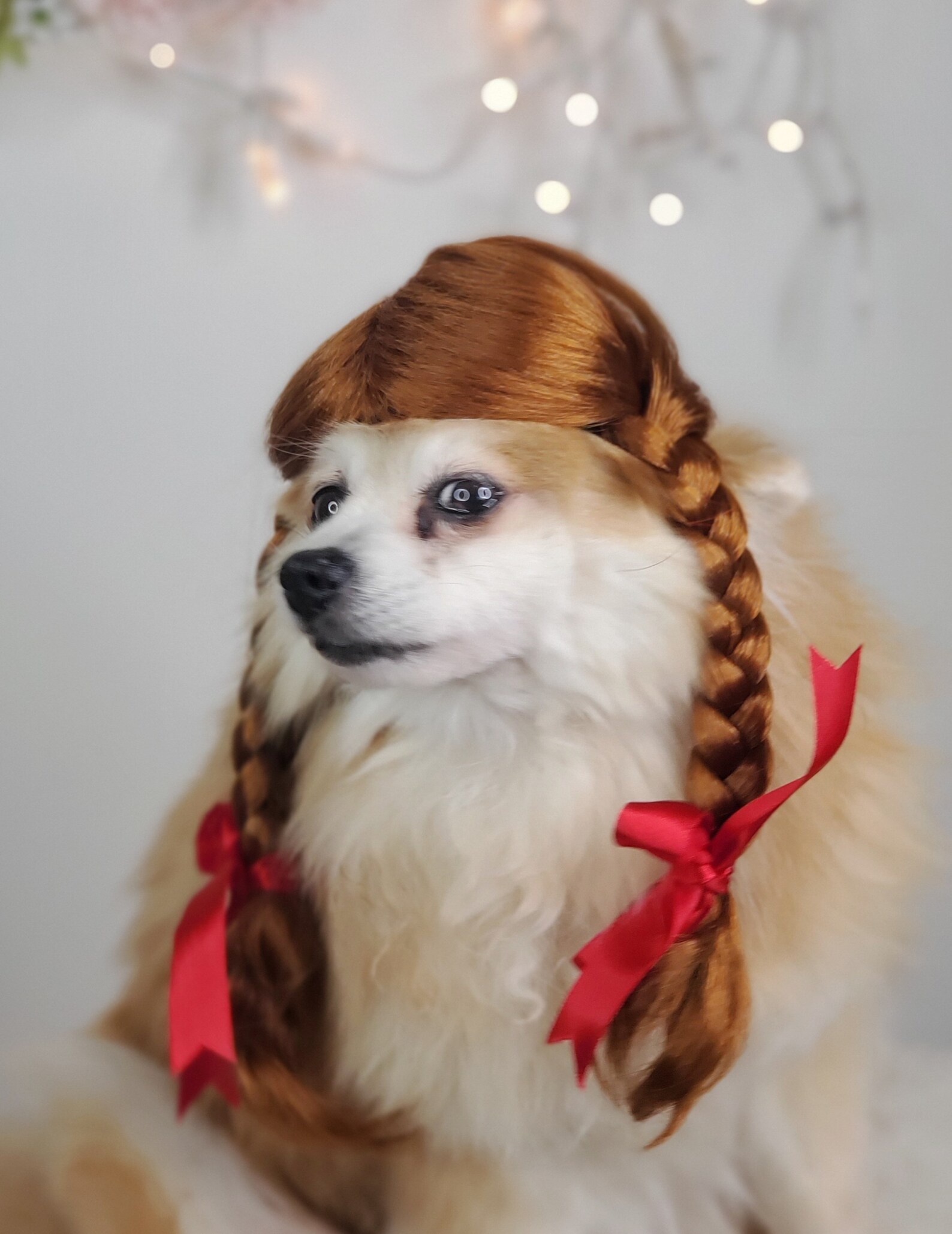 Braided Pet Wig With Red Bows, Dog or Cat Halloween Costume - Etsy