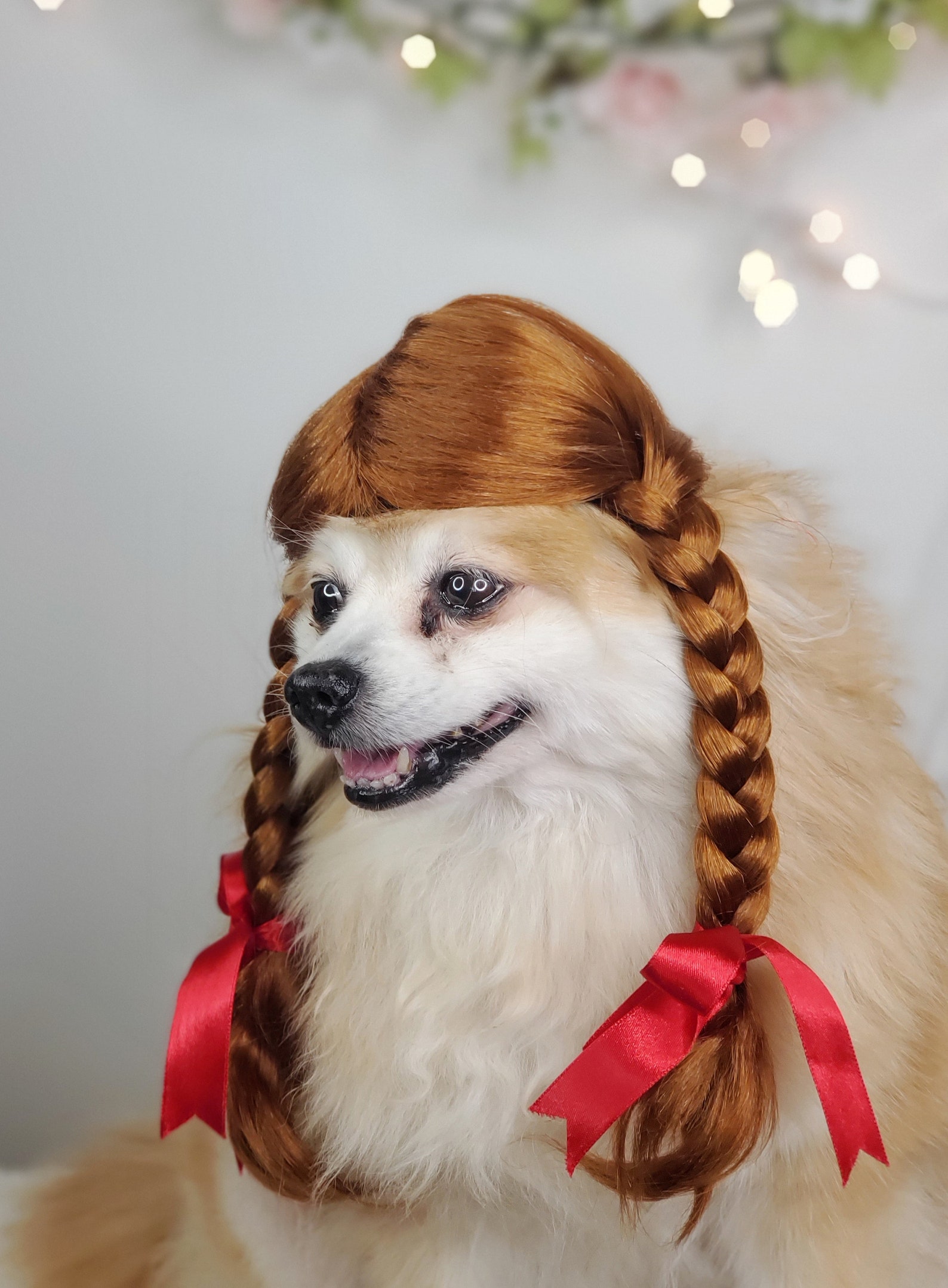 Braided Pet Wig With Red Bows, Dog or Cat Halloween Costume - Etsy
