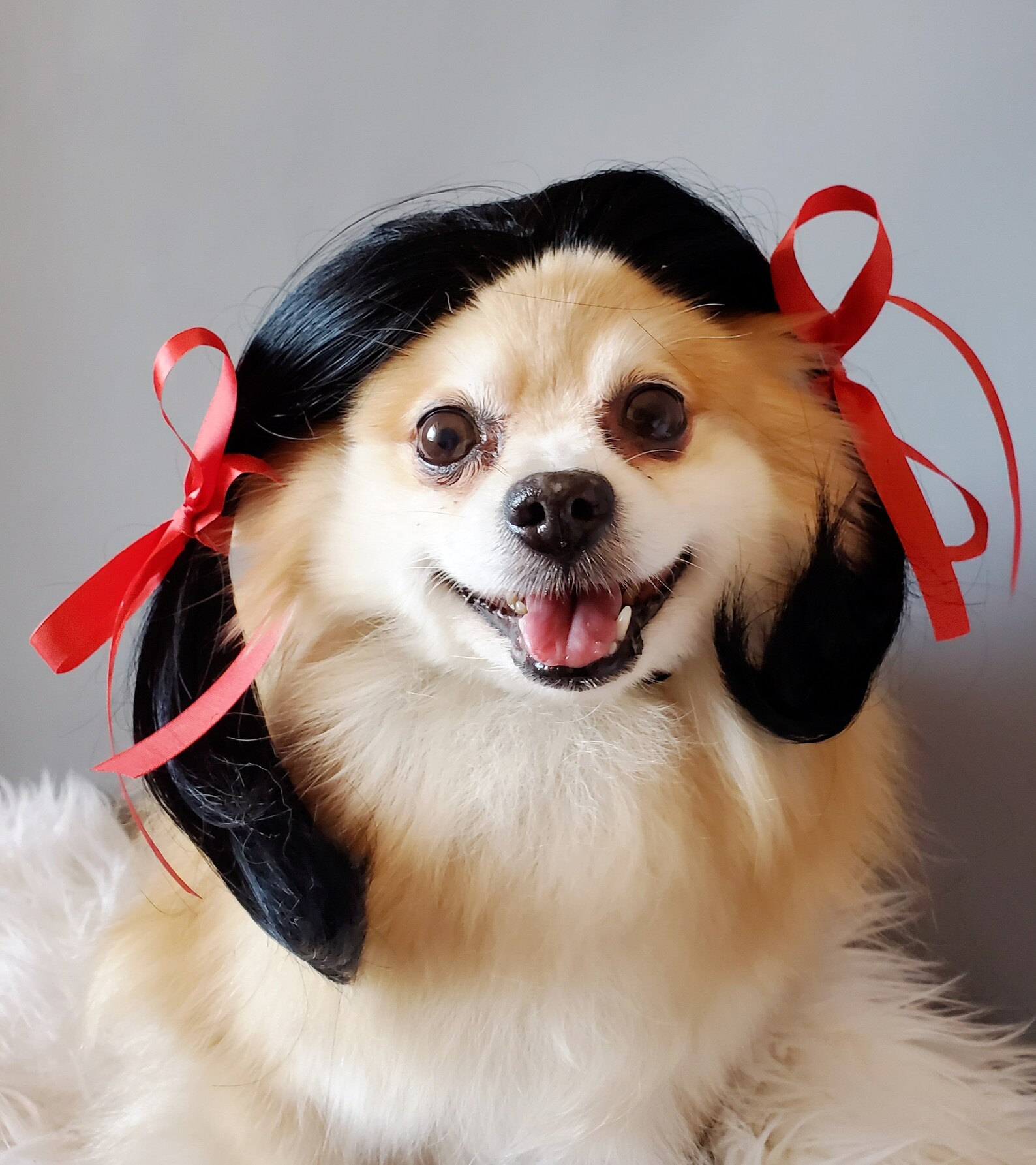 Black Pet Wig With Red Ribbons, Handmade Dog/cat Costume - Etsy