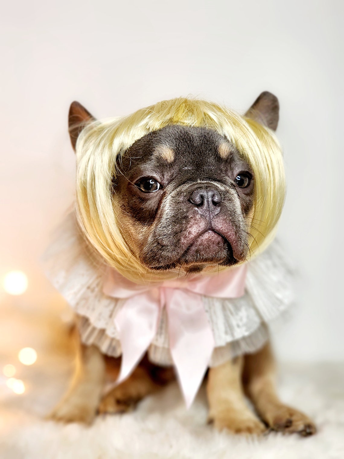 Pet Wig for Dog or Cat/halloween Dog Wig / Pet Costume / - Etsy