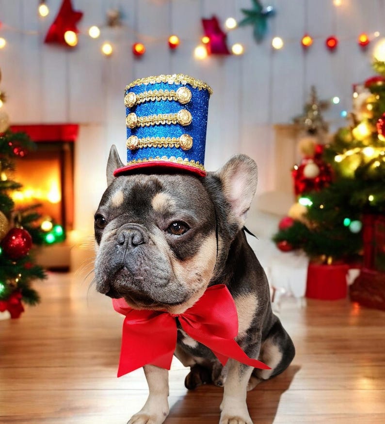 Nutcracker Pet Costume Hat: Christmas Dog Top Hat - Etsy