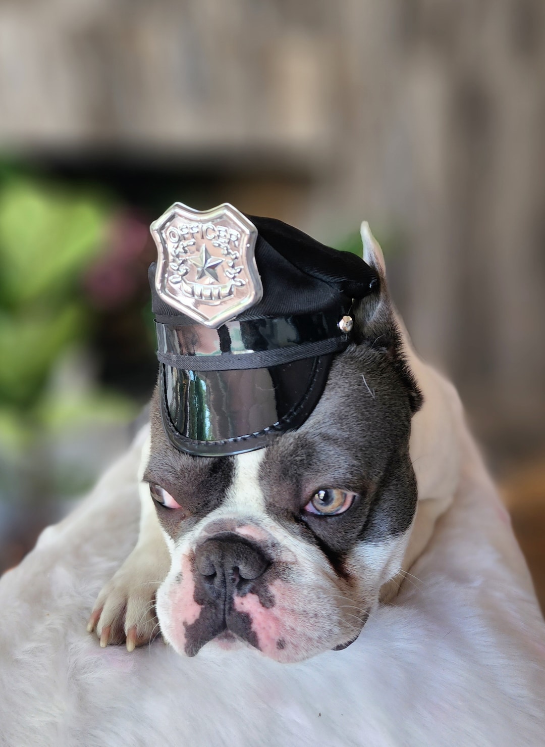 Police Hat for Dog or Cat Small Animal Doll /halloween Pet Hat /police ...