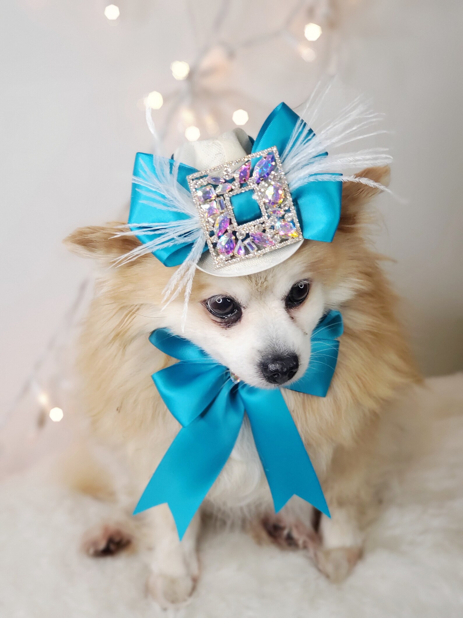 Elegant Pet Hat With Feather and Bow, Small Dog or Cat Costume - Etsy