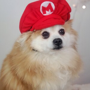 Wario Pet Costume Hat, Adjustable Elastic - Etsy