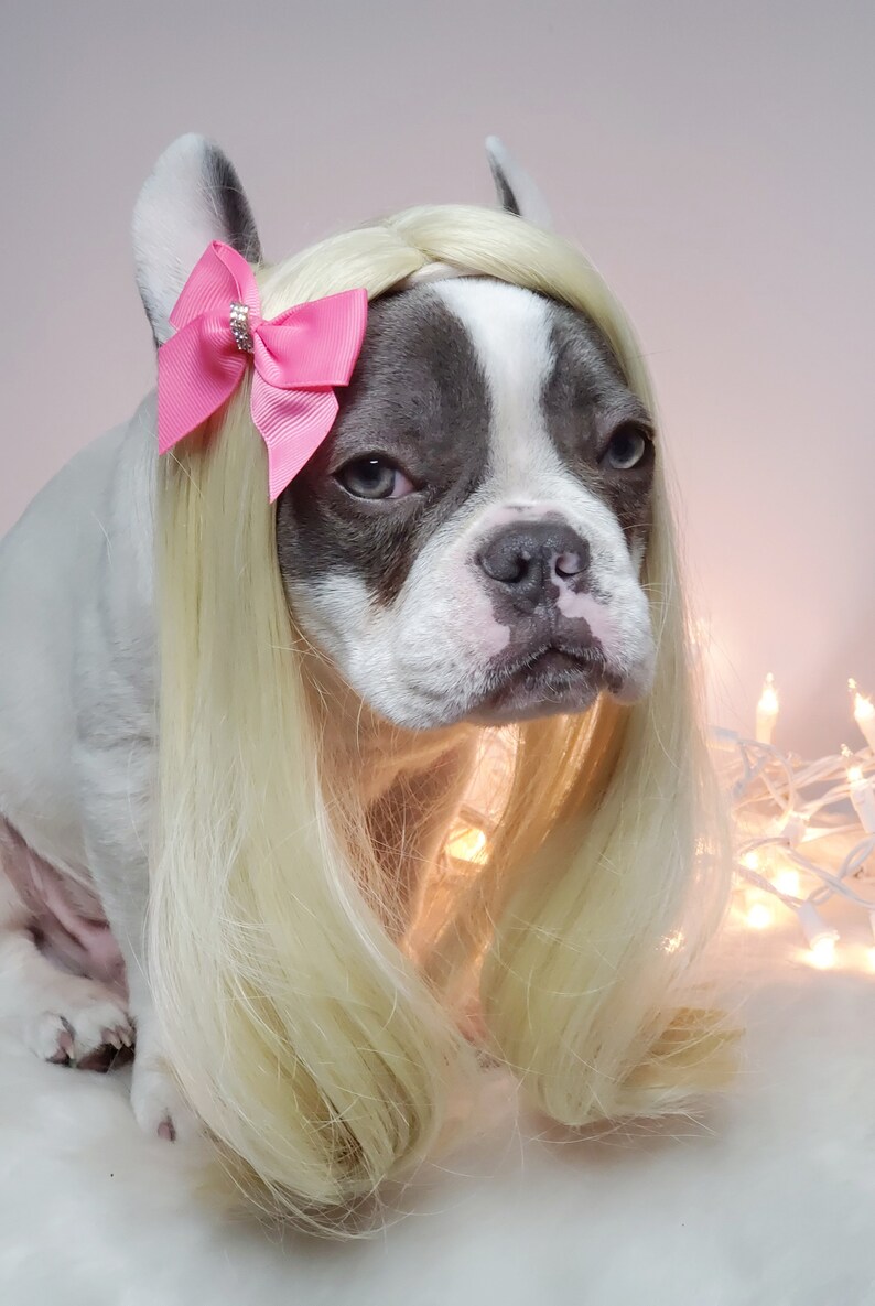Blonde Pet Wig: Dog/cat Costume, Adjustable Fit - Etsy