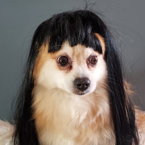 Pet Wig Black Color for Dog or Cat /halloween Costume Wig for Pet / - Etsy