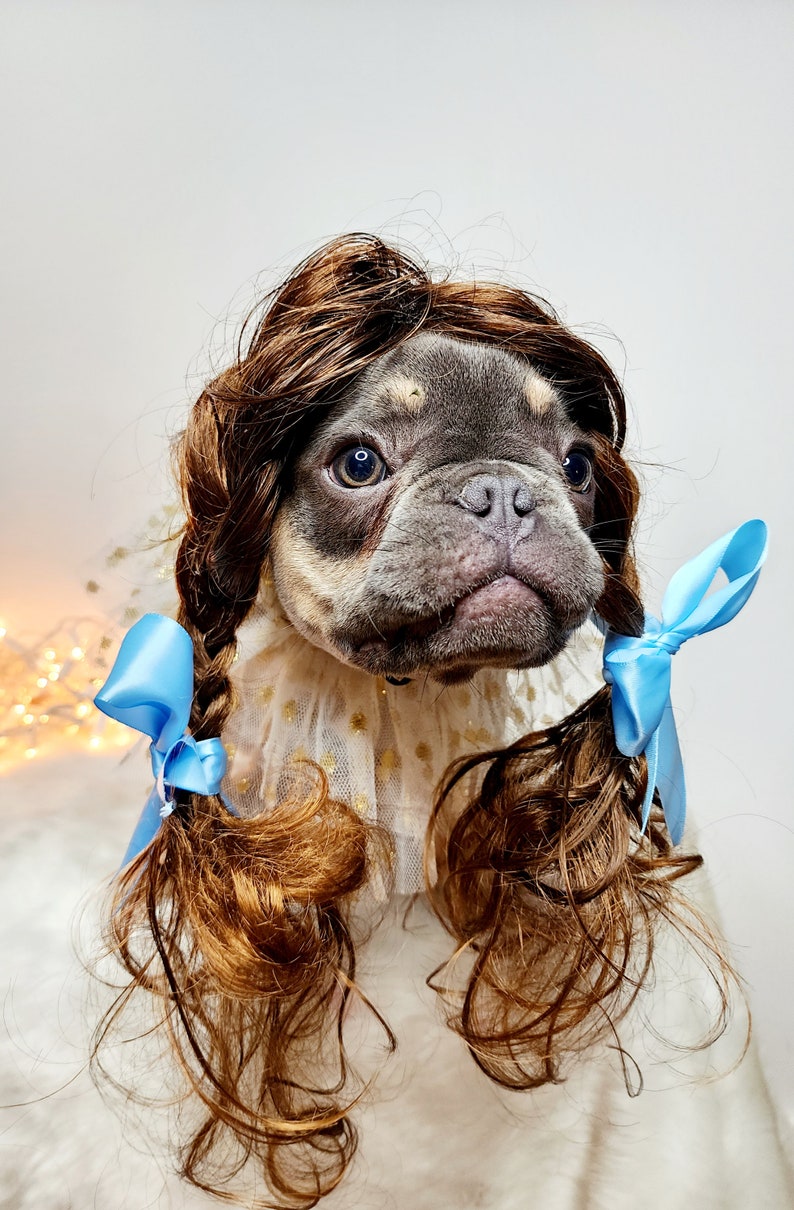 Wizard of Oz Dorothy Dog Wig, Brown Costume Wig - Etsy